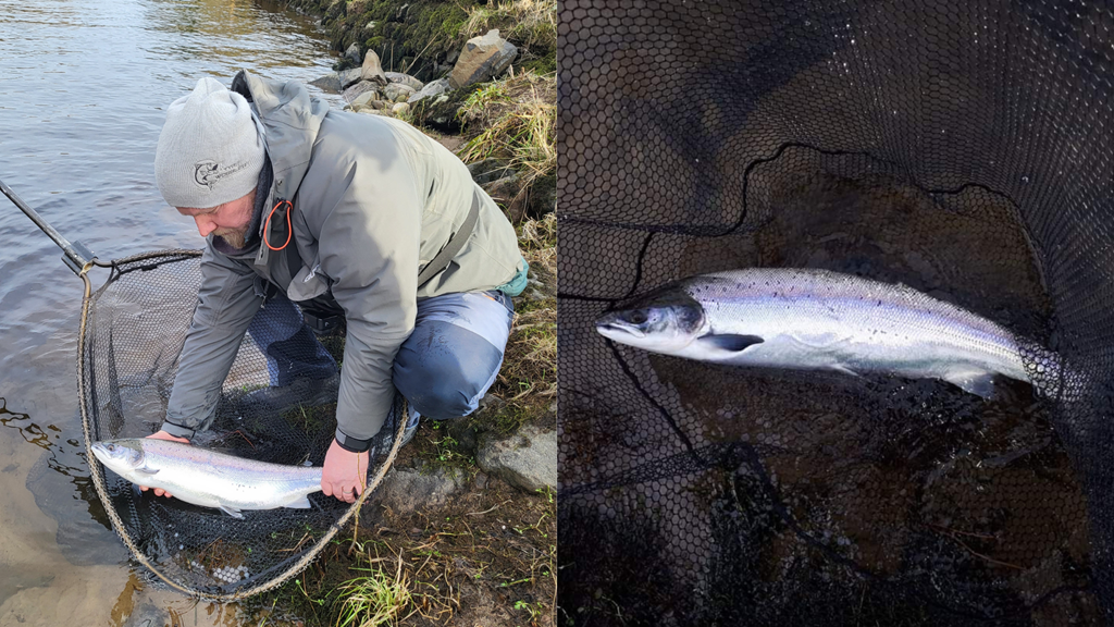 Laksefiske i Skottland: En eventyrlig opplevelse langs majestetiske ...